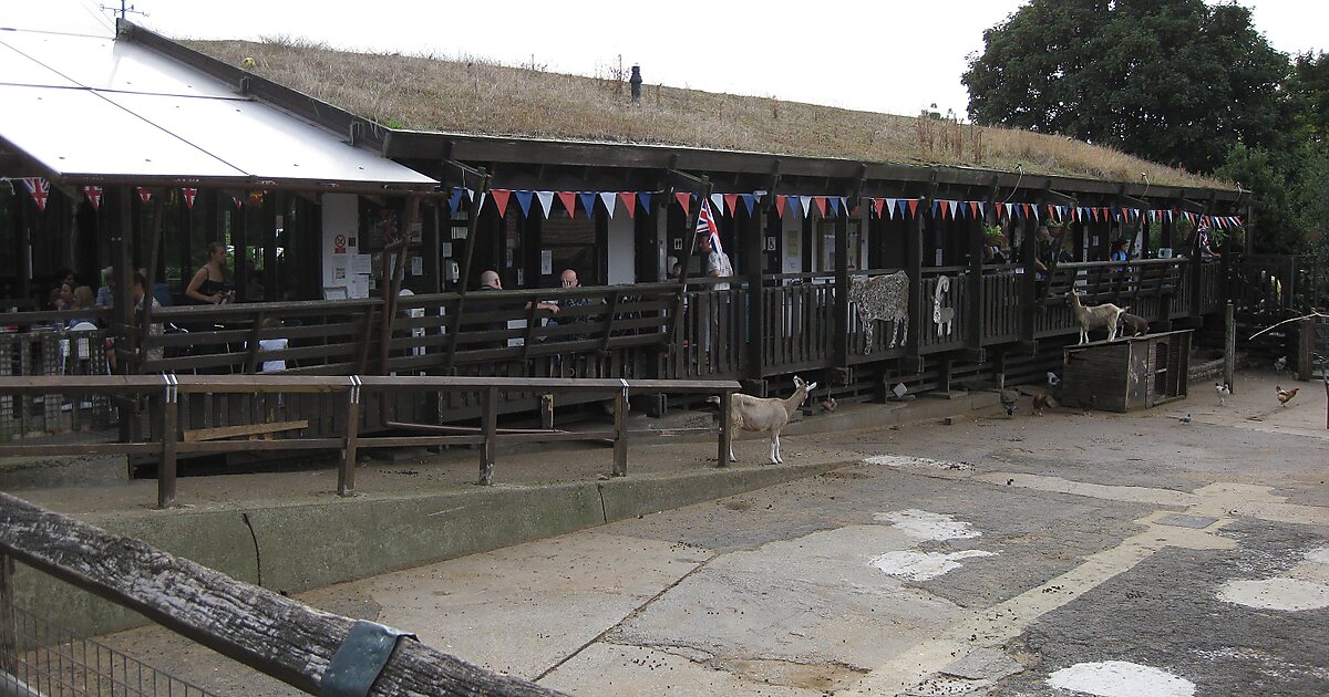 Surrey Docks Farm in London, UK | Tripomatic