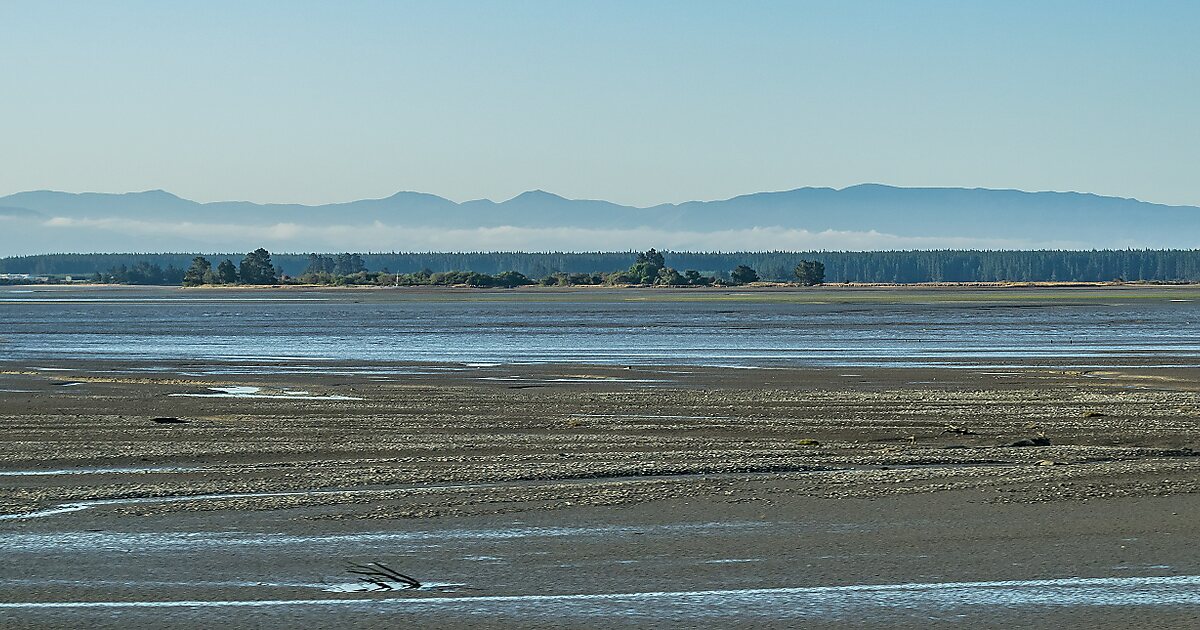 Waimea Inlet in New Zealand | Sygic Travel