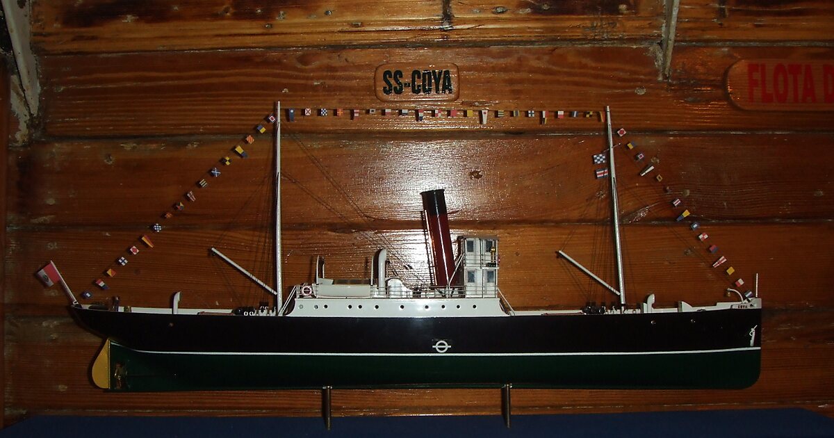 SS Coya in Puno, Perú | Tripomatic