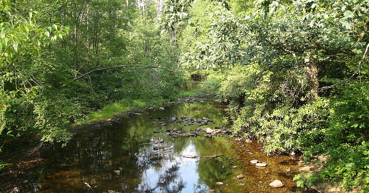 Black Moshannon State Park in Rush Township, United States | Tripomatic