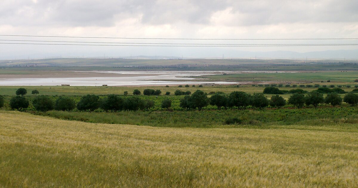 Sebkha de Orán en Magreb, Argelia | Tripomatic