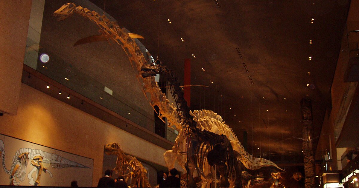 Kitakyushu Museum of Natural History & Human History in Yahatahigashi ...