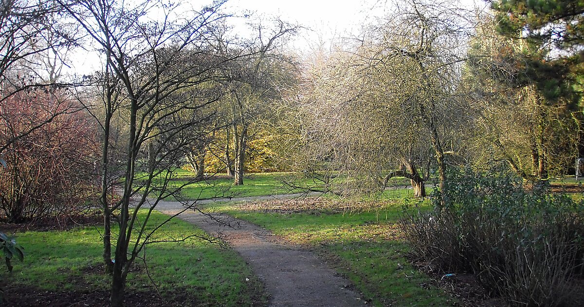 Delftse Hout in Delft, Nederland | Tripomatic