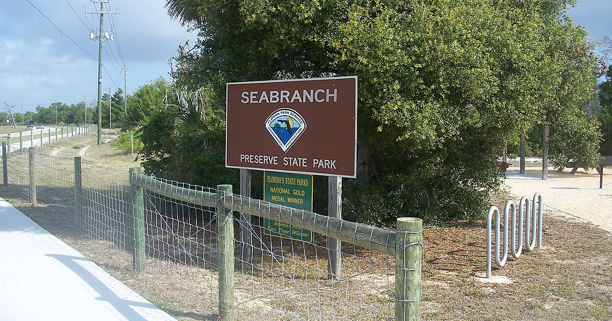 Seabranch Preserve State Park in Florida | Tripomatic