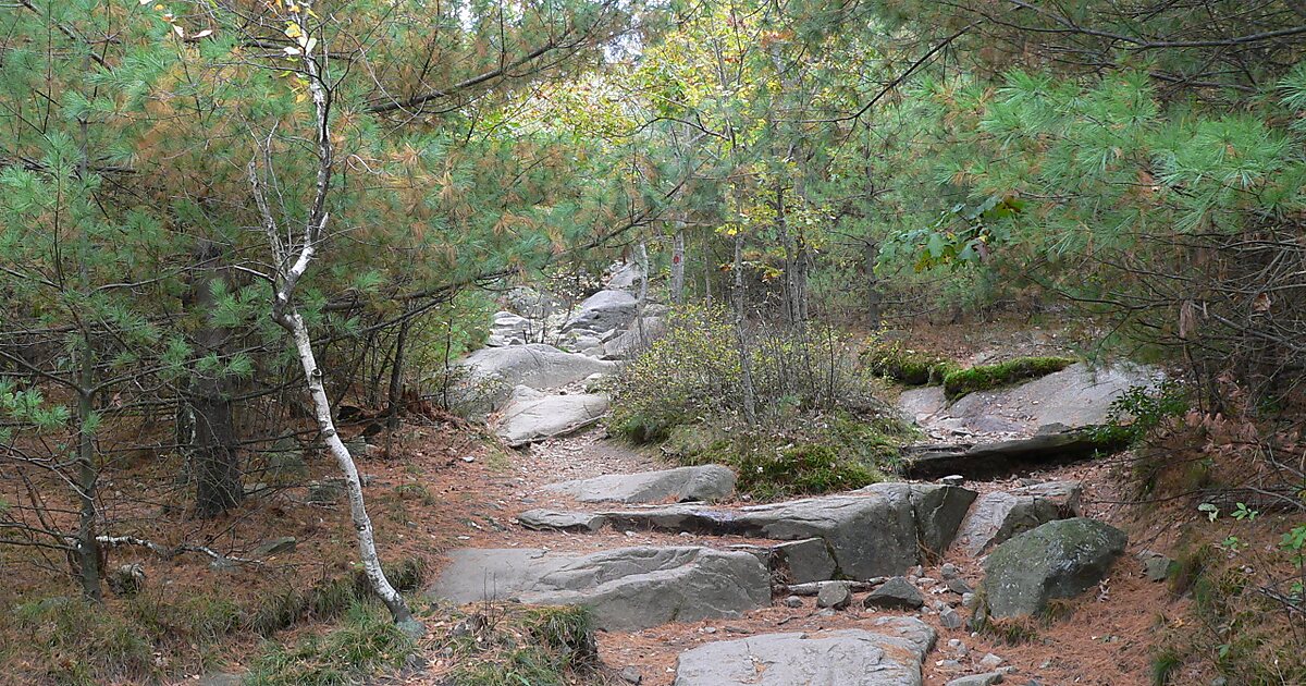 Blue Hills Reservation in Braintree, Massachusetts, United States ...