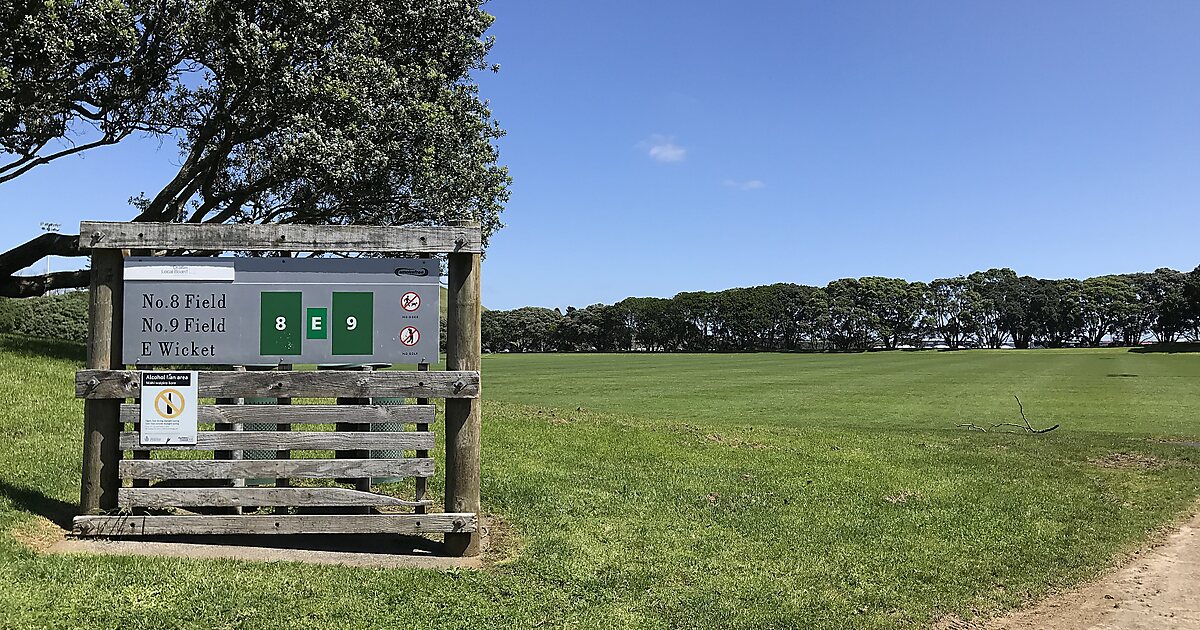 Colin Maiden Park in Auckland, New Zealand | Tripomatic