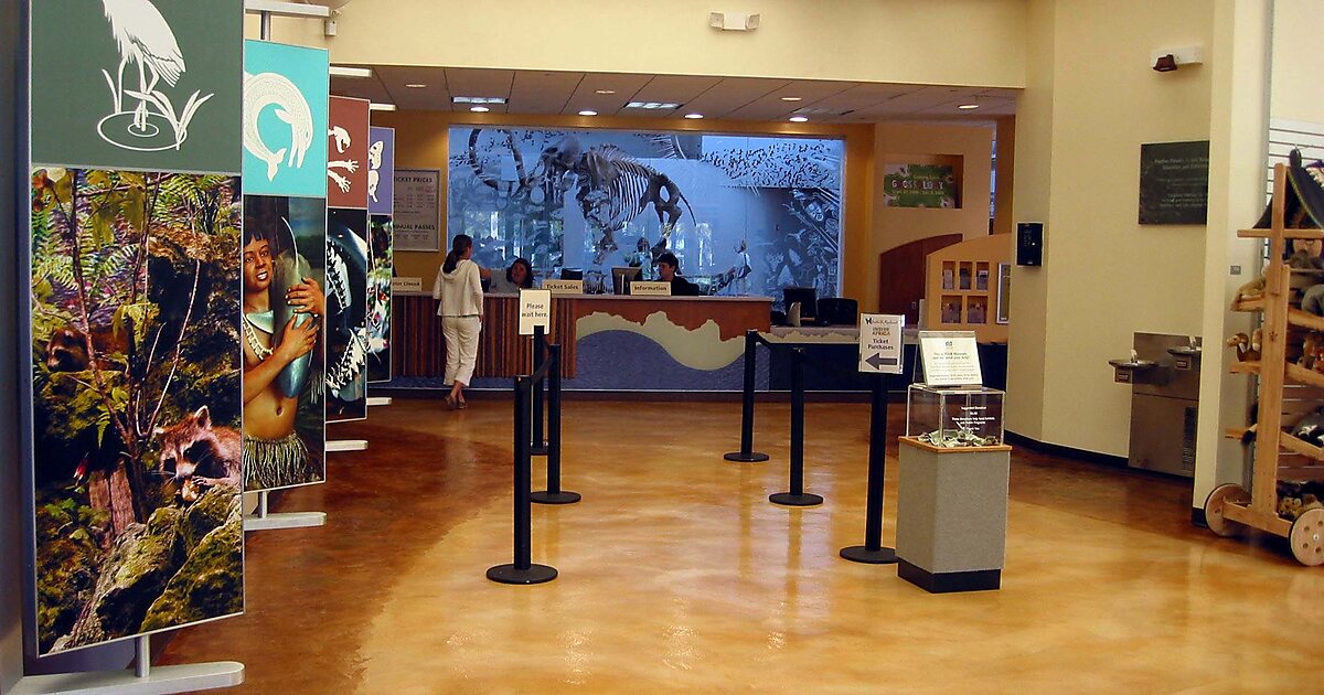 Florida Museum of Natural History in Gainesville, Florida | Tripomatic