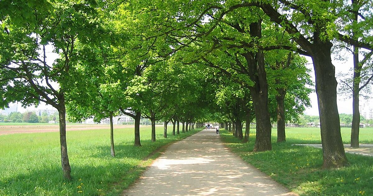 Path of Remembrance and Comradeship in Ljubljana, Slovenia | Tripomatic