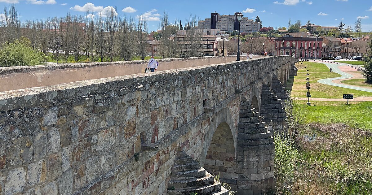 Toro-verraco ibérico en Salamanca