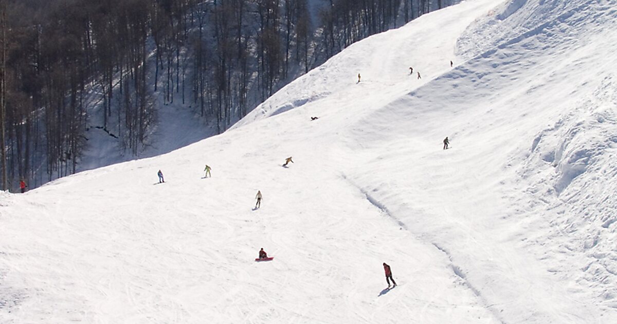 Krasnaja Poljana in Krasnaja Poljana | Tripomatic