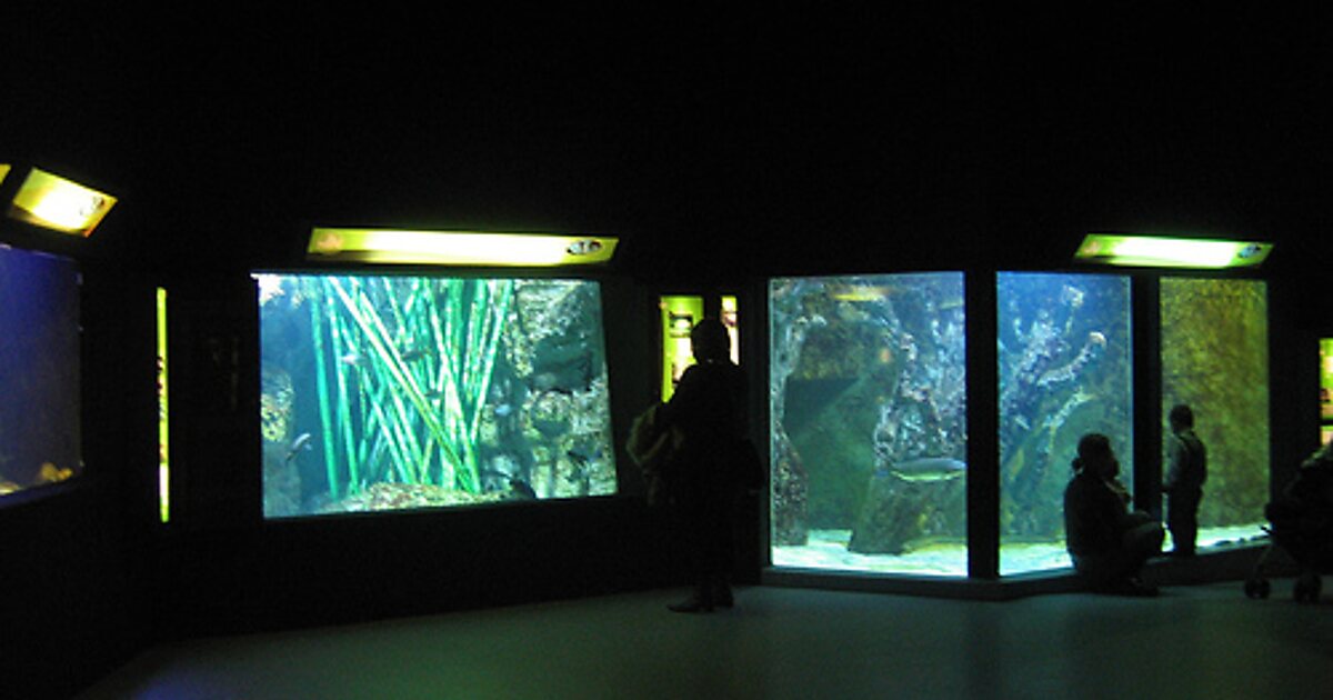 Aquarium de Lyon - Lyon, France | Tripomatic