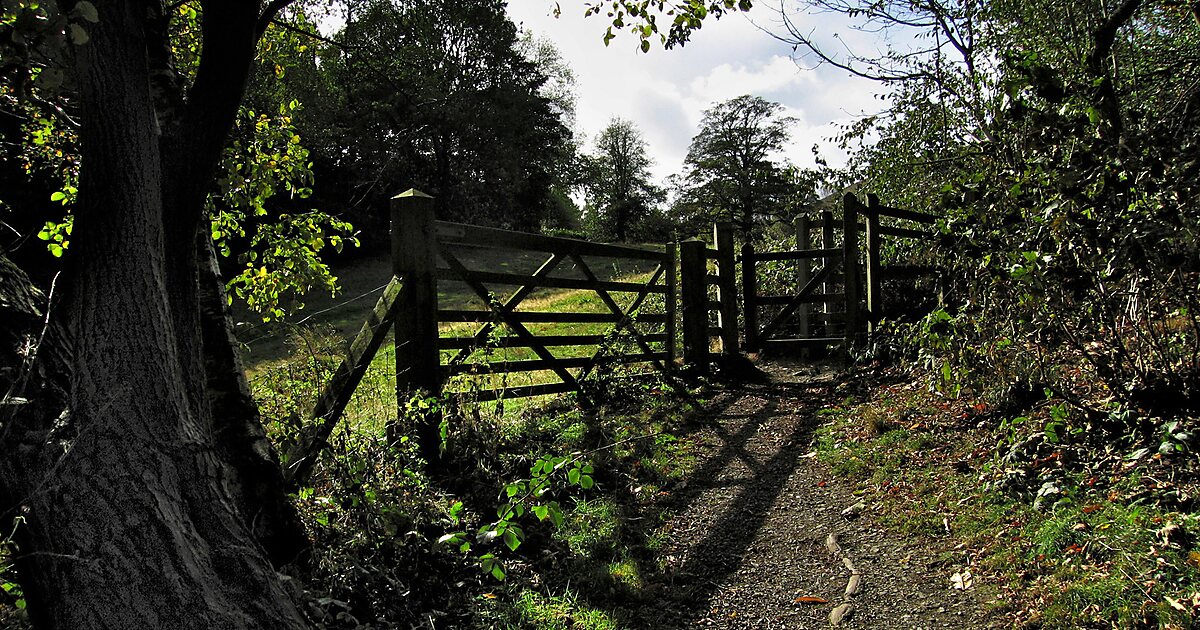 Old Rectory Wood in Church Stretton, UK | Tripomatic