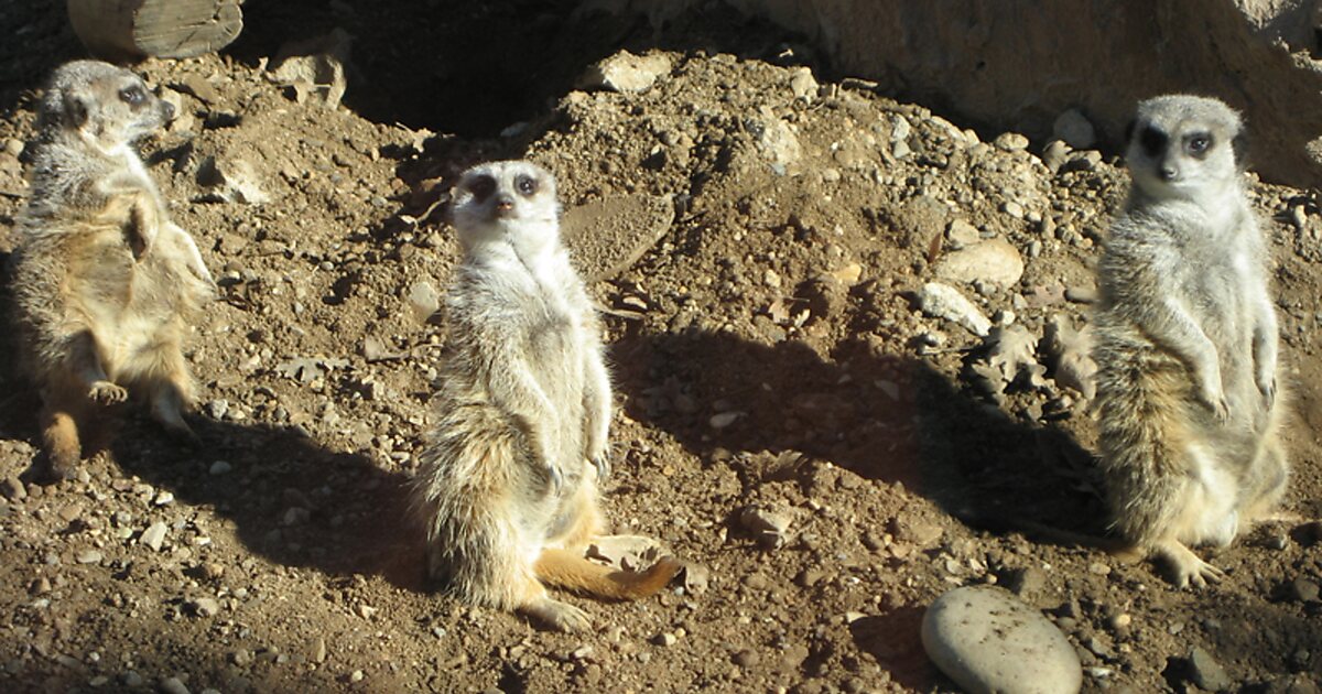 Charles Paddock Zoo in San Luis Obispo, California, United States ...