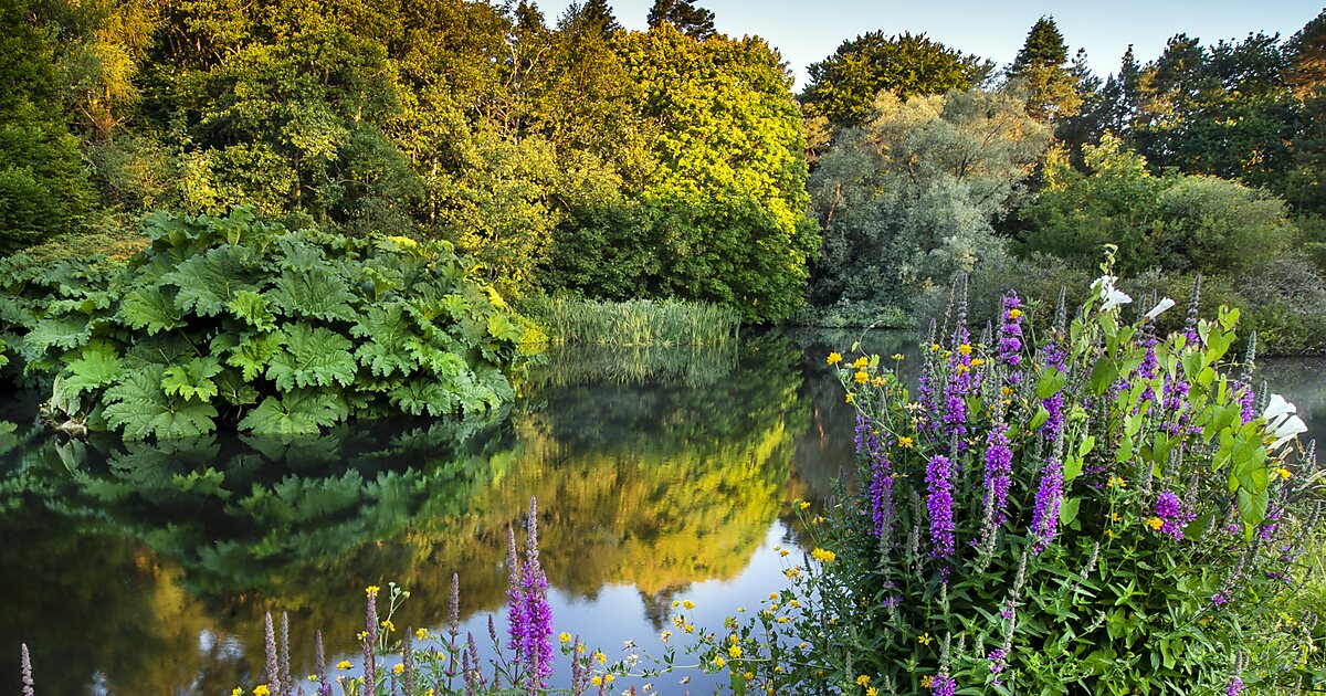 John-F.-Kennedy-Arboretum en Irlanda | Tripomatic