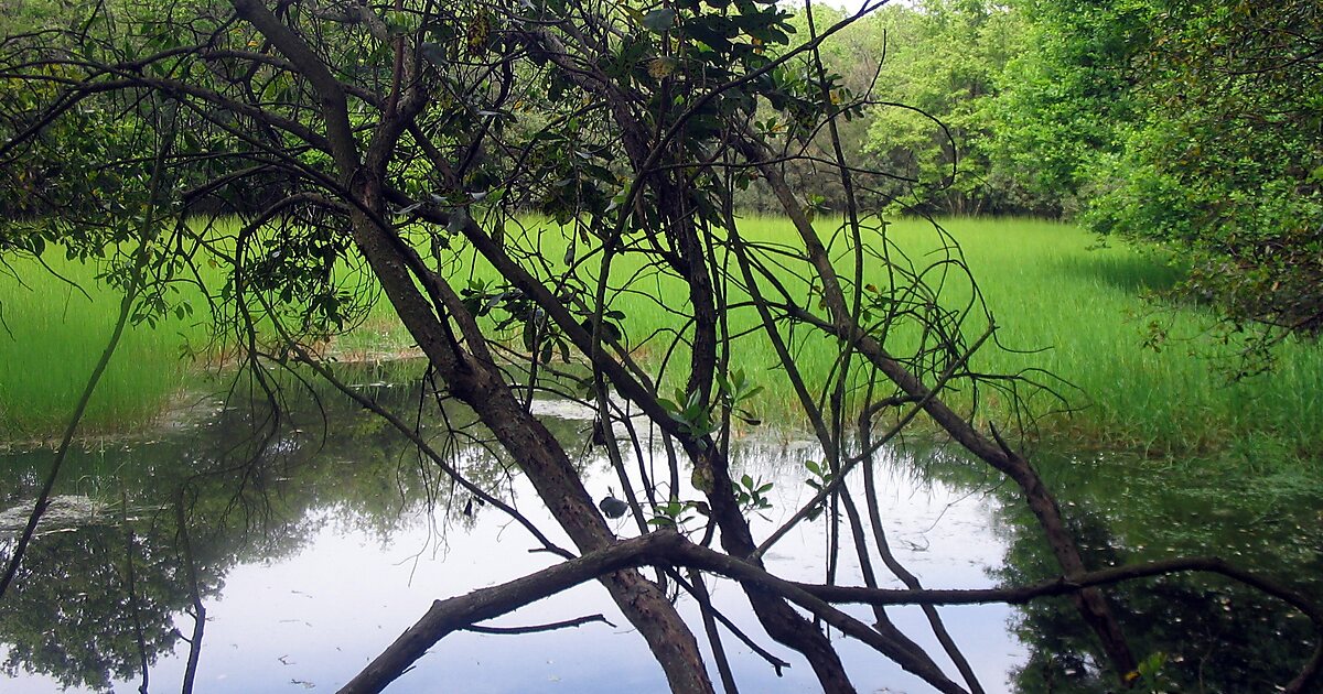 Regional Park of Decima Malafede in Castel di Decima, Italy | Tripomatic