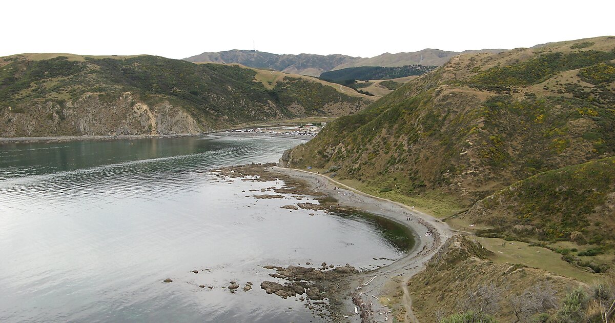 Makara Beach in Wellington, New Zealand | Tripomatic