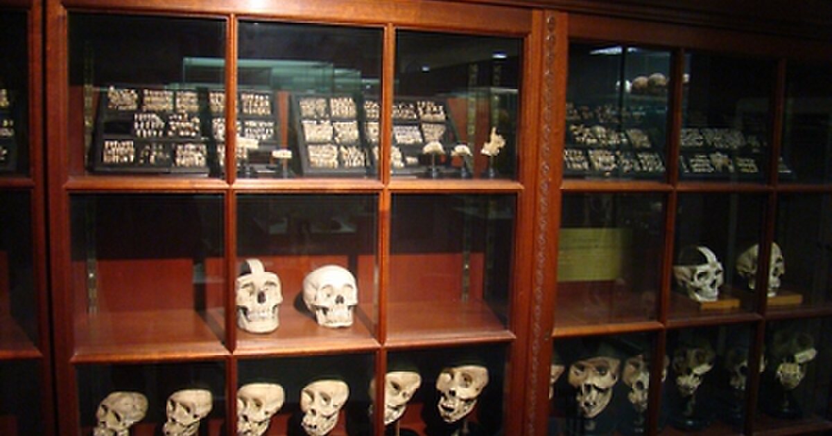 Museum Vrolik in Amsterdam, Nederland | Tripomatic
