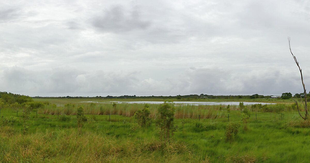 Knuckey Lagoons Conservation Reserve in Northern Territory, Australia ...