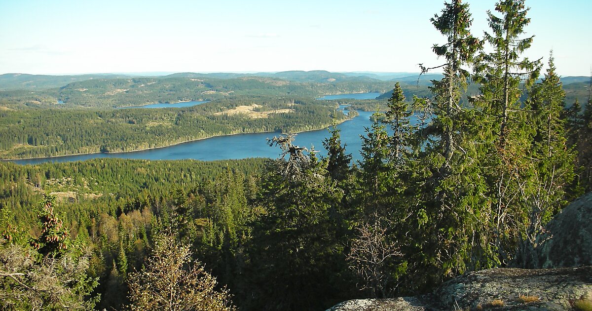 Nordmarka Forest in Oslo, Norway | Tripomatic