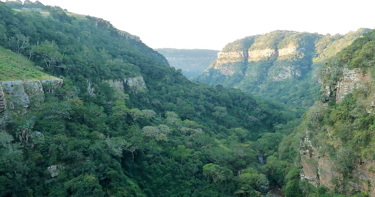 Krantzkloof Nature Reserve in Forest Hills, South Africa | Tripomatic