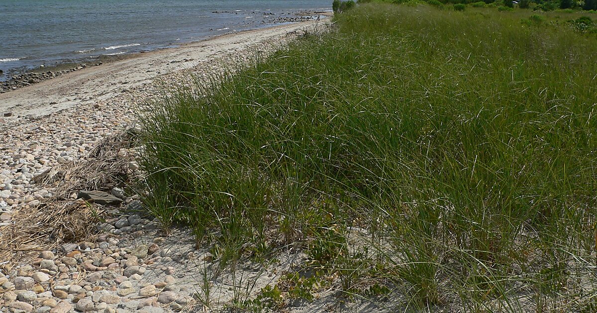 Demarest Lloyd State Park in United States | Tripomatic