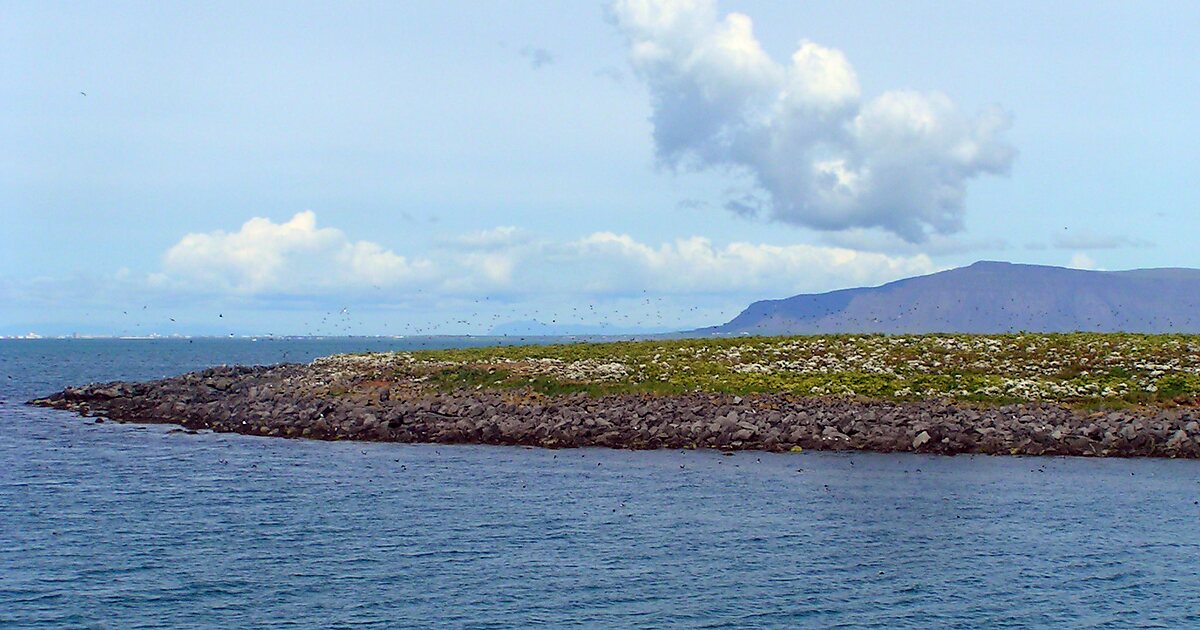 Videy Island in Reykjavík, Iceland | Tripomatic