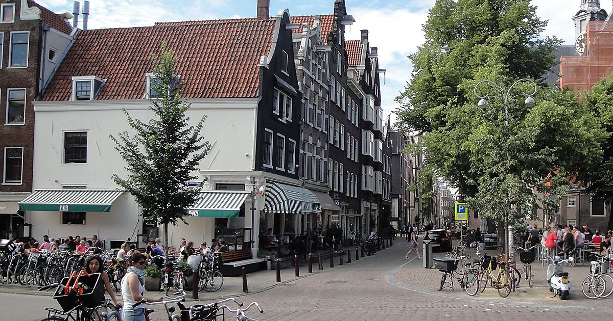 Café Winkel 43 in Centrum, Amsterdam, Netherlands | Tripomatic