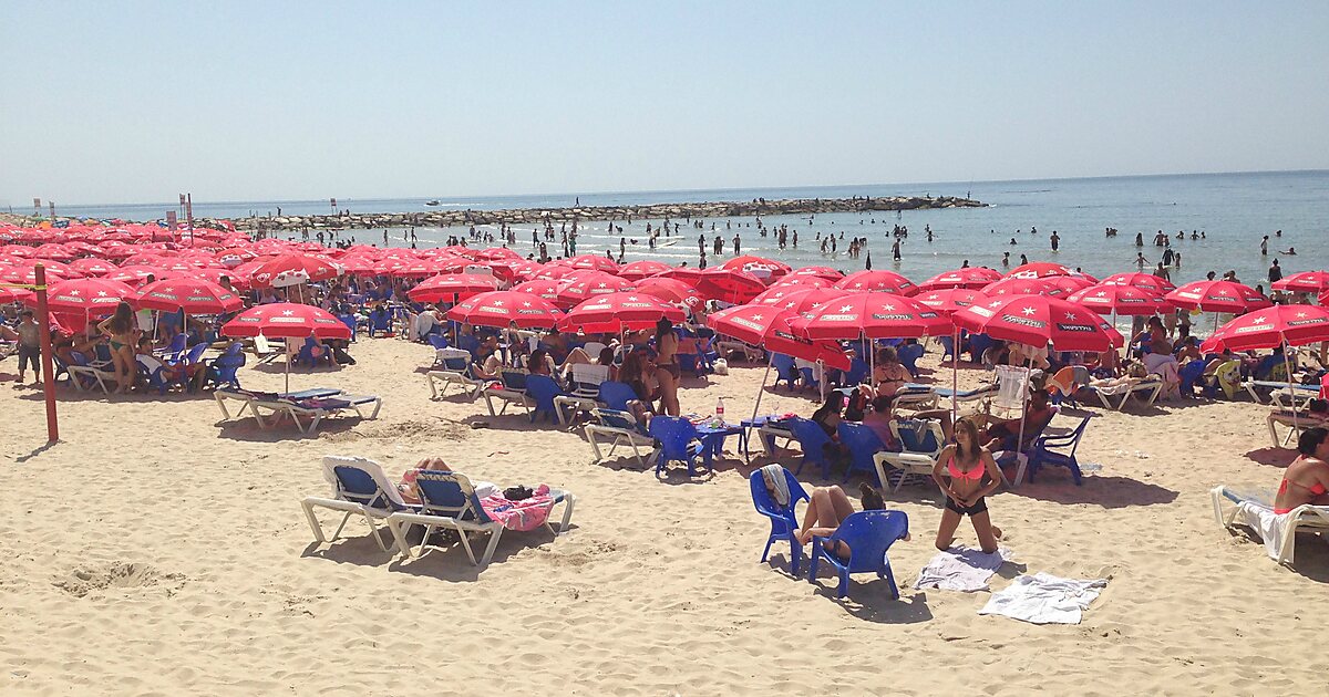 Frishman Beach in Tel Aviv-Jaffa, Israel | Tripomatic