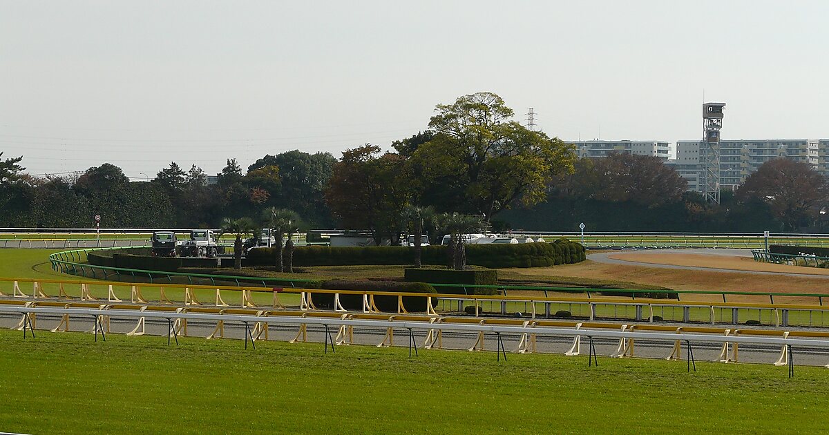 Tokyo Racecourse in Tokyo, Japan | Tripomatic
