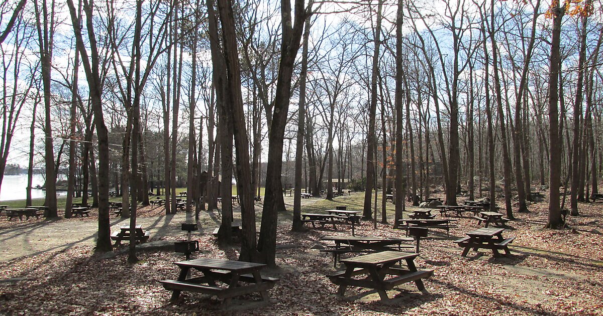 Douglas State Forest in Douglas, Massachusetts | Tripomatic