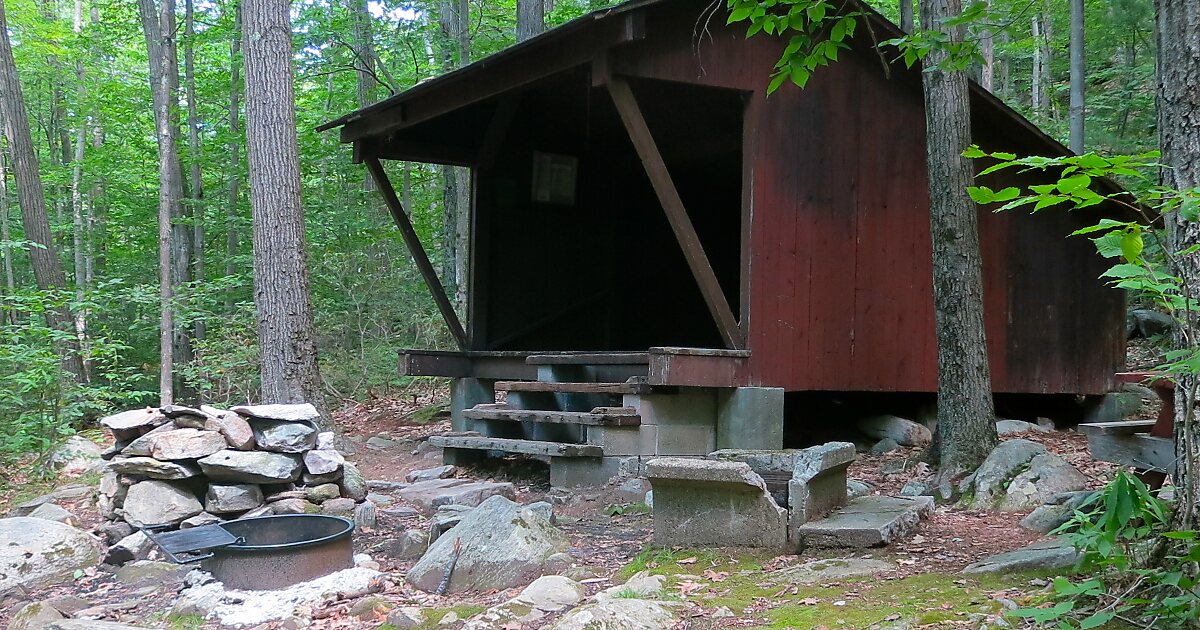 Wendell State Forest