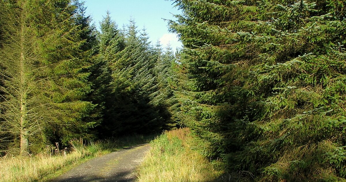 Glenariff Forest Park in Northern Ireland, UK | Tripomatic