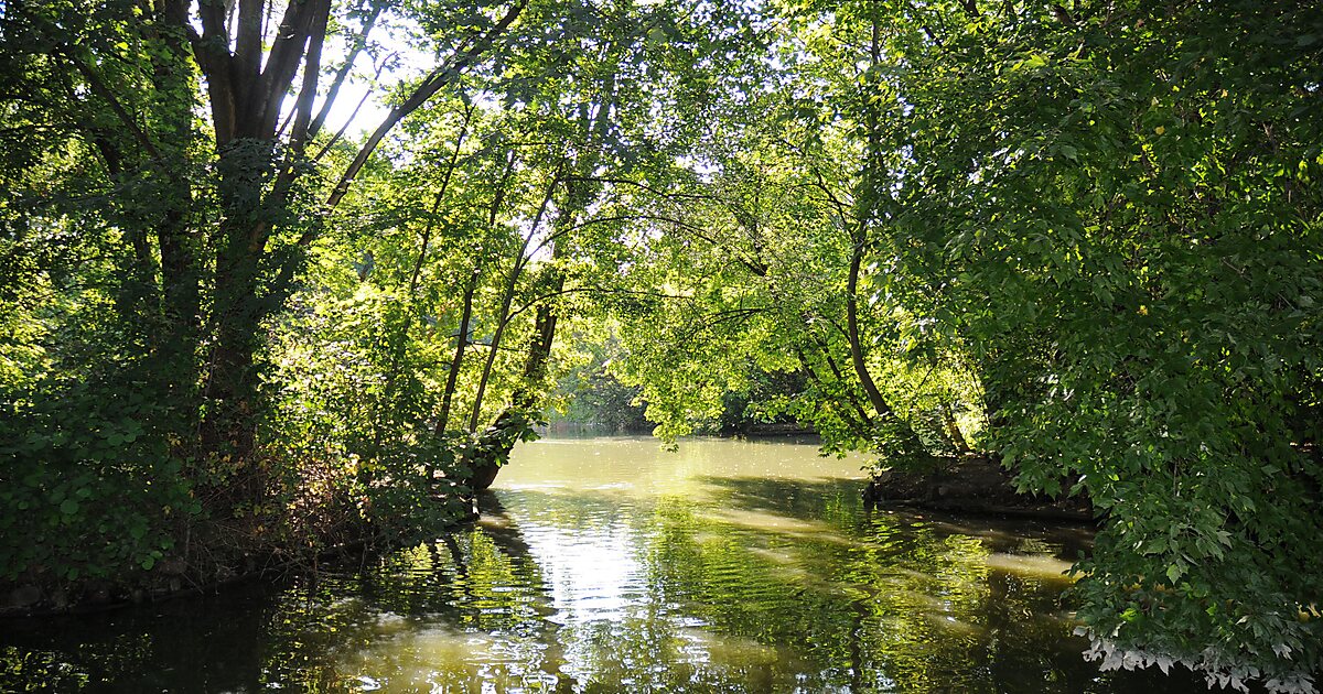 Parco locale del bosco di Legnano - Nobile contrada San Magno, Milano ...