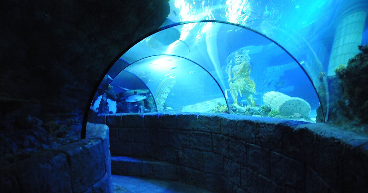 Sea Life Porto in Matosinhos, Portugal | Tripomatic