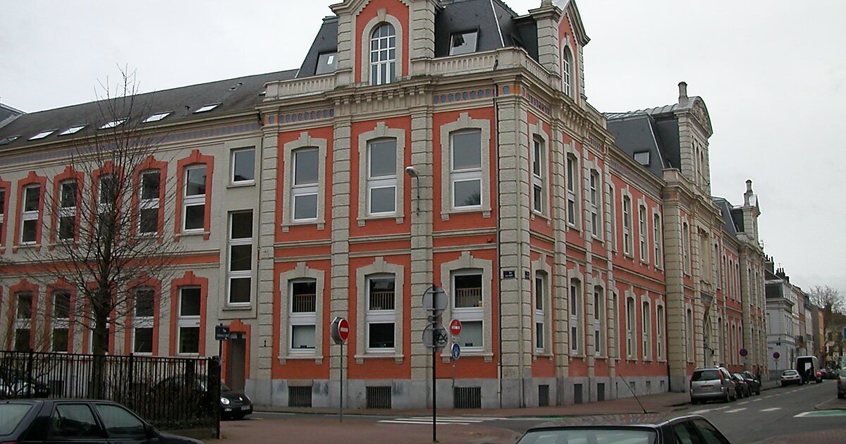 Museo de Historia Natural de Lille en Lille, Francia | Tripomatic