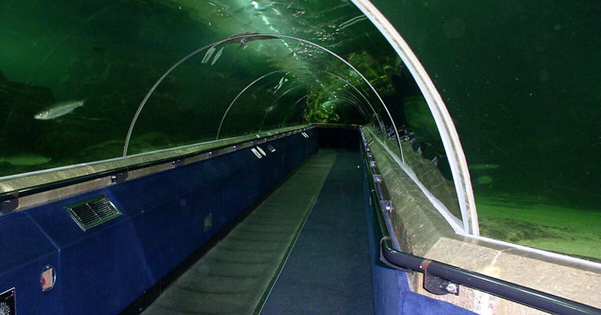 Deep Sea World in North Queensferry, UK | Tripomatic