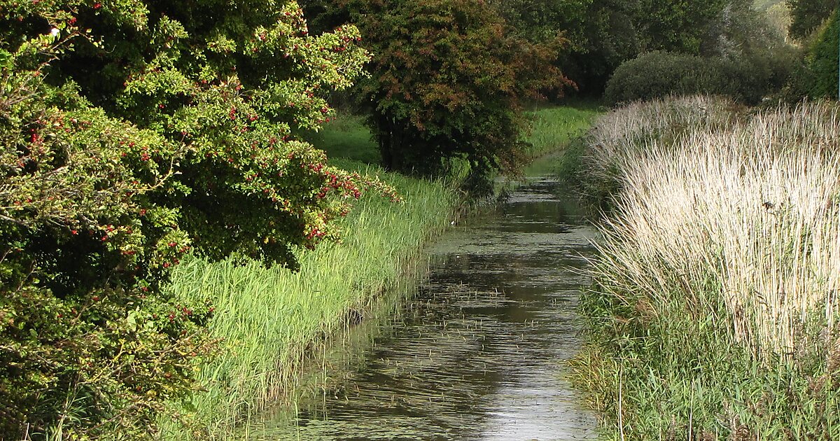 Senlac Hill in Battle, East Sussex, UK | Tripomatic