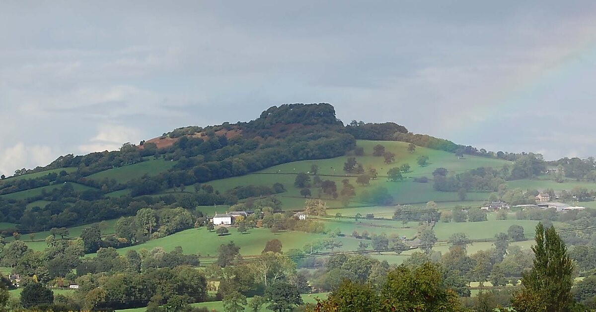 Dumpdon Hill in Luppitt, UK | Tripomatic