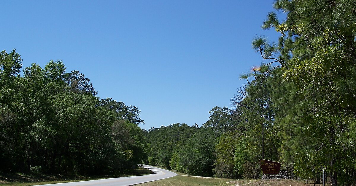 Goethe State Forest in United States | Tripomatic