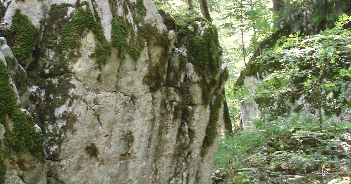La Grande Chartreuse in Saint-Pierre-de-Chartreuse, Frankreich | Tripomatic