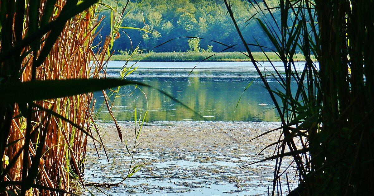 Mendon Ponds Park in Monroe, United States | Tripomatic