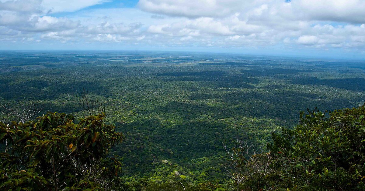 Mount Pascoal National Historic Park in Bahia, Brasil | Tripomatic
