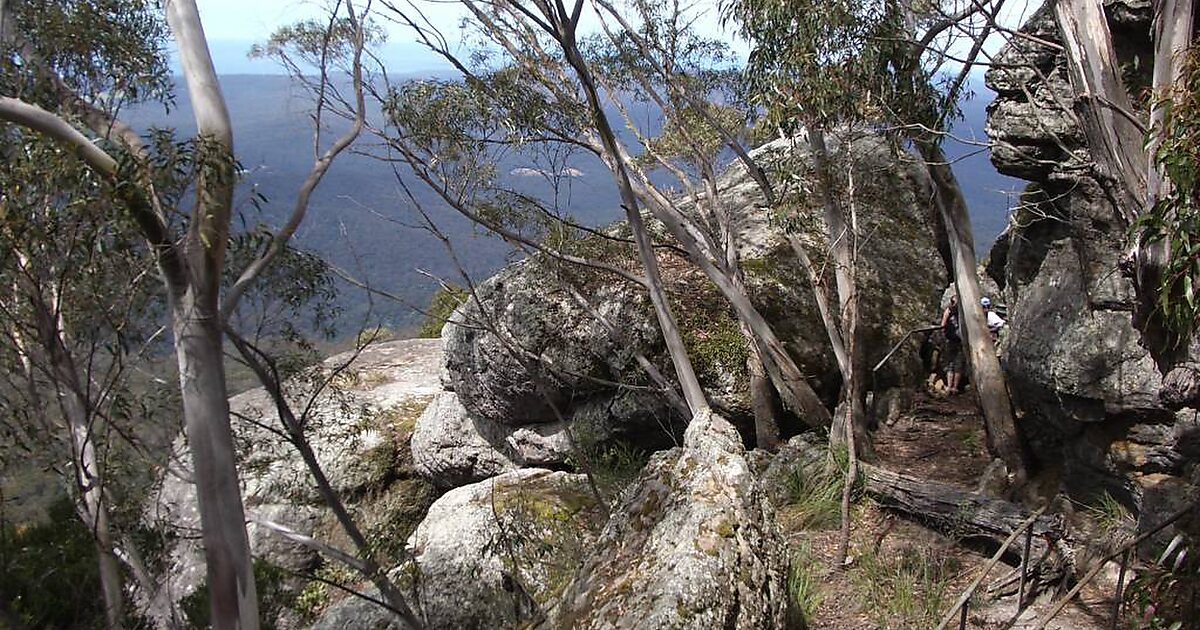 Pigeon House Mountain in Yadboro, Australia | Tripomatic