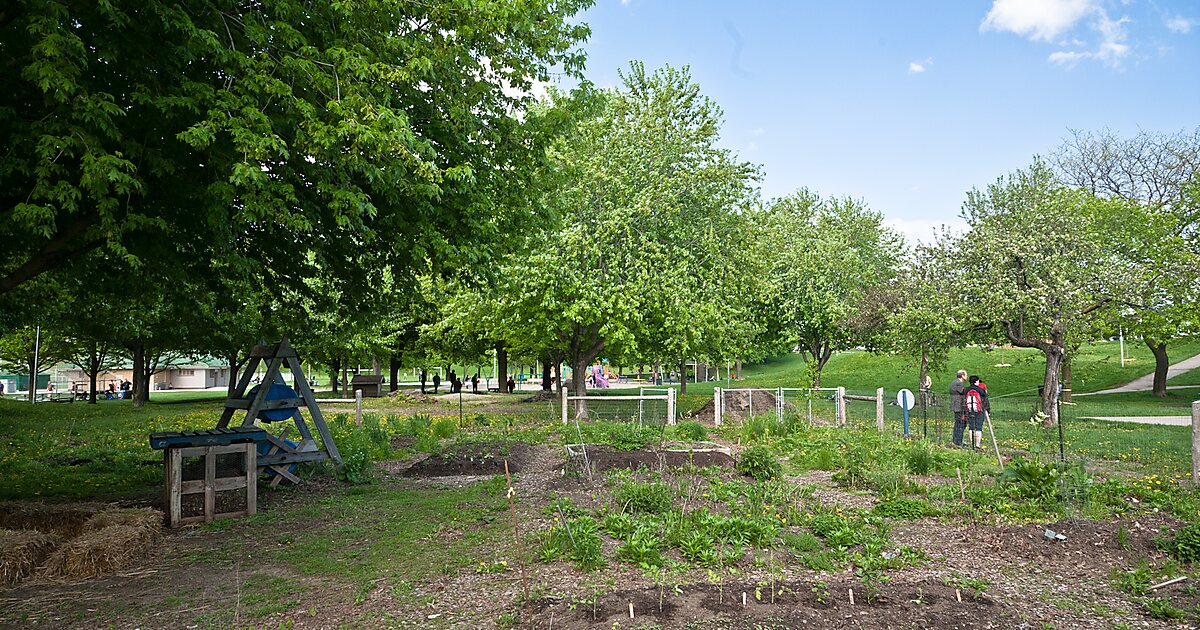 Christie Pits Park in University—Rosedale, Toronto, Canada | Tripomatic