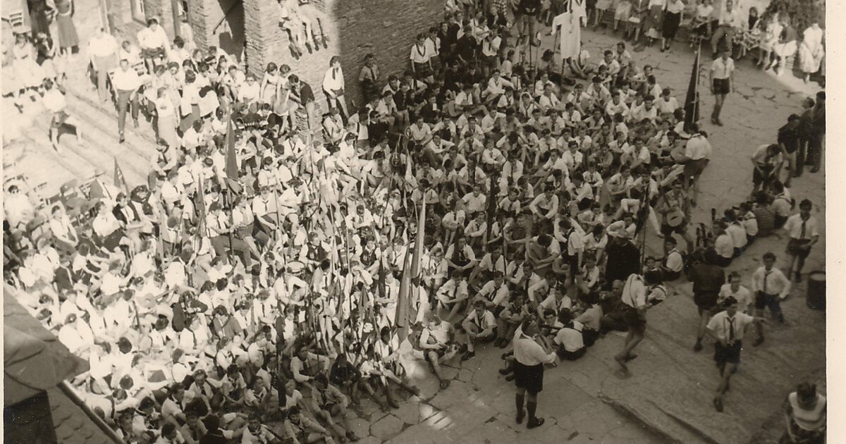 Wandervogel in Steglitz-Zehlendorf, Berlin, Deutschland | Tripomatic