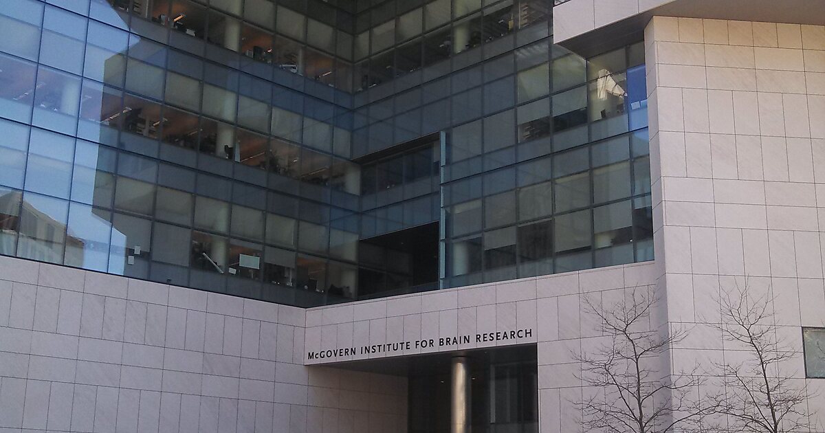 McGovern Institute for Brain Research in Boston, United States | Tripomatic