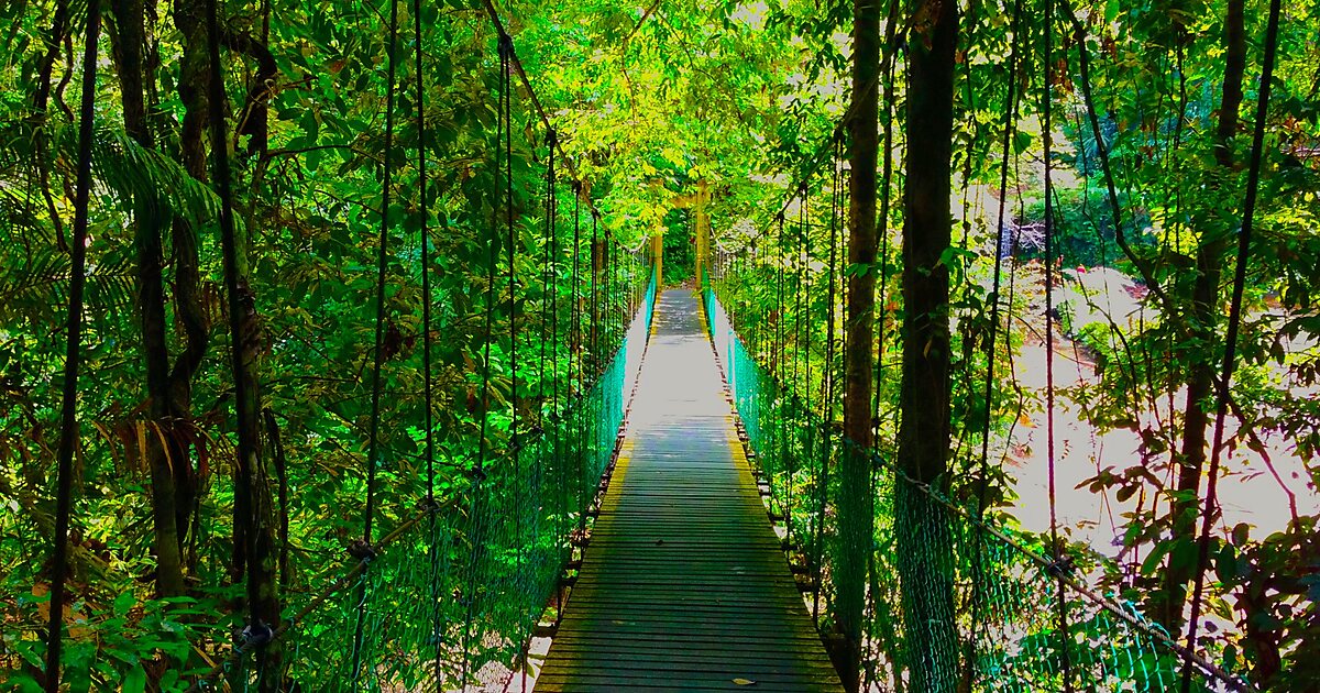 Lambir Hills National Park in Malaysia | Tripomatic
