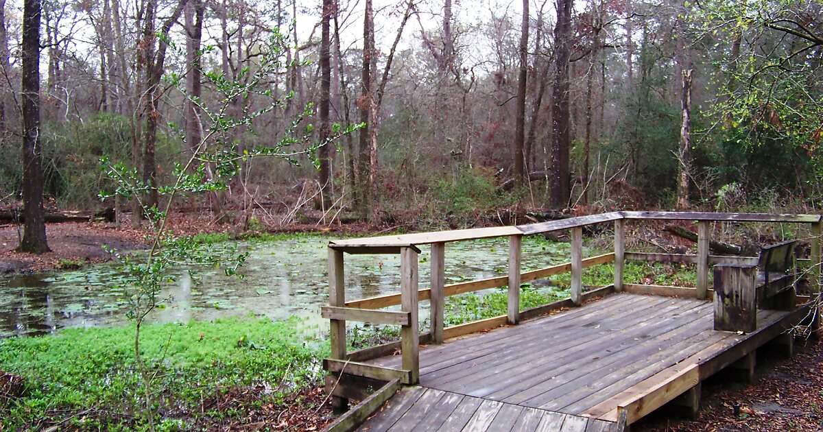 Houston Arboretum & Nature Center in Houston, United States | Tripomatic