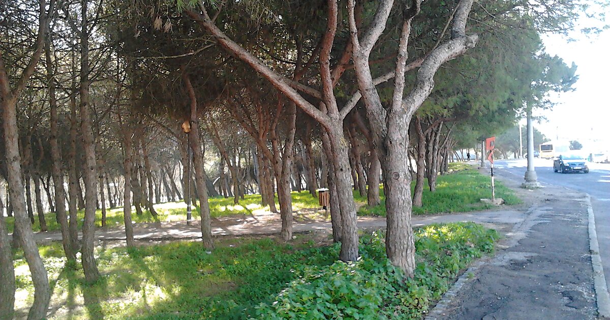 Parque do Vale Fundão em Marvila, Lisboa, Portugal | Tripomatic