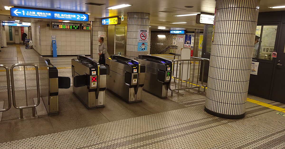 Maita in Minami-ku, Yokohama, Japan | Tripomatic